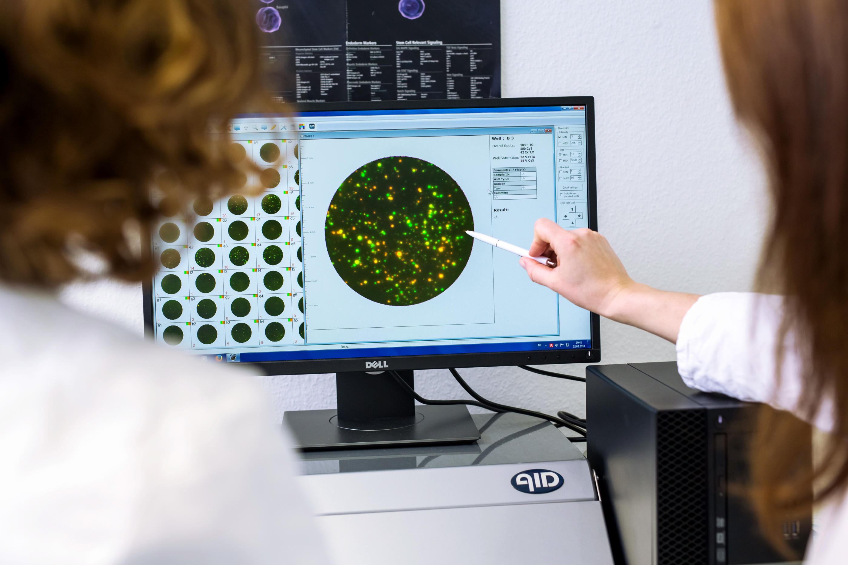 Quality control for eukaryotic and prokaryotic cell banks | Tentamus ...